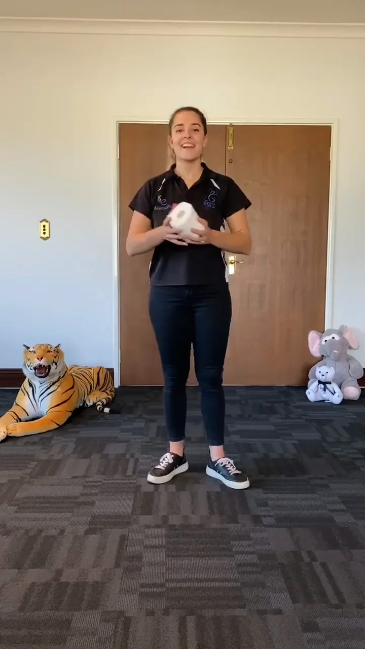 Toilet Roll Fun on Vimeo