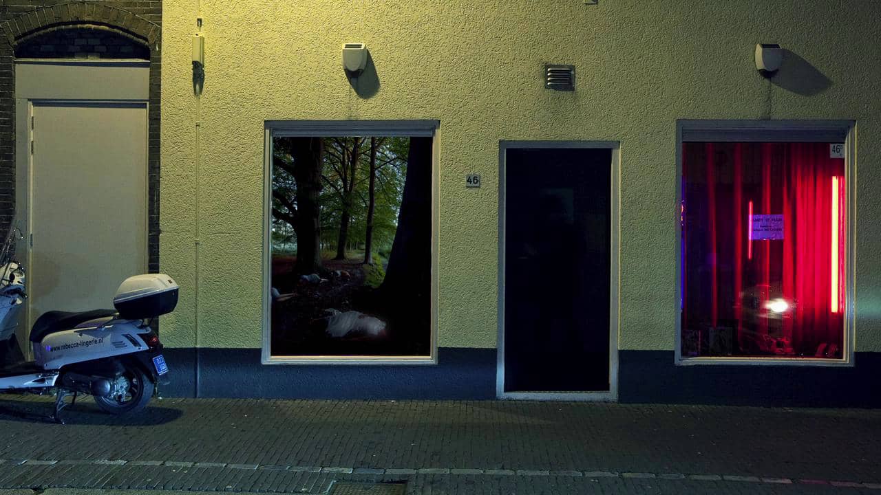 Sleeping Beauty @ Red Light District Groningen (HD) on Vimeo