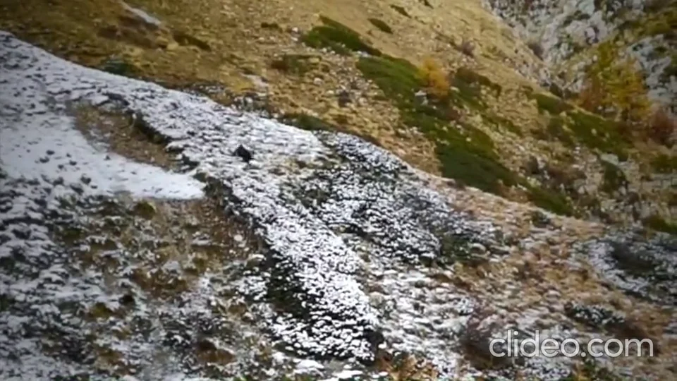 florent-light_7zqhT3MA.compressed on Vimeo