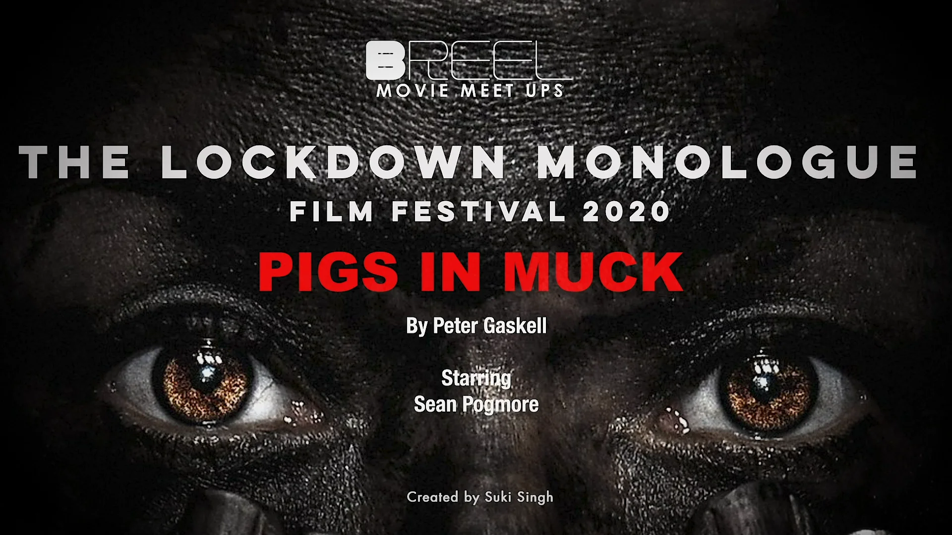 LMFF SCREEN 1 - PIGS IN MUCK Sean Pogmore on Vimeo