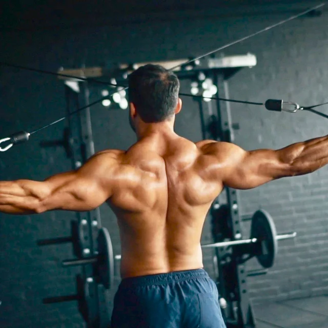 Standing Cable Reverse Flys