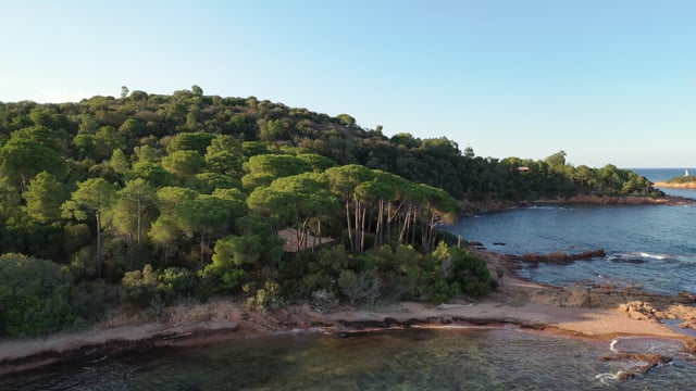 Litoral Praia França - Free video on Pixabay - Pixabay