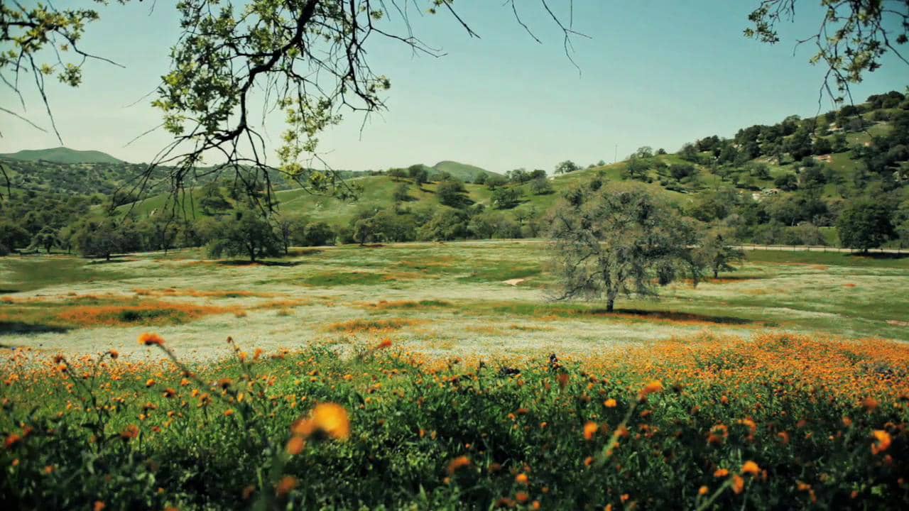 Yokohl Valley Ranch on Vimeo