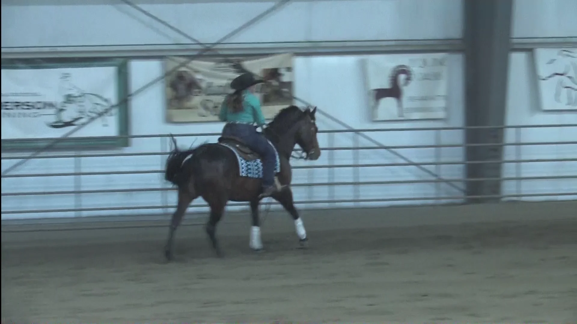 Timber Jazzman & Jessica Hopkins ~ 2020-05-28 ~ YRHA I ~ Geldings.mp4 ...