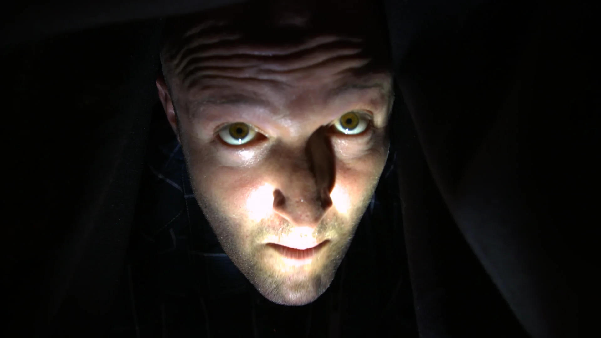 Bill Bestiole - Couverture 1