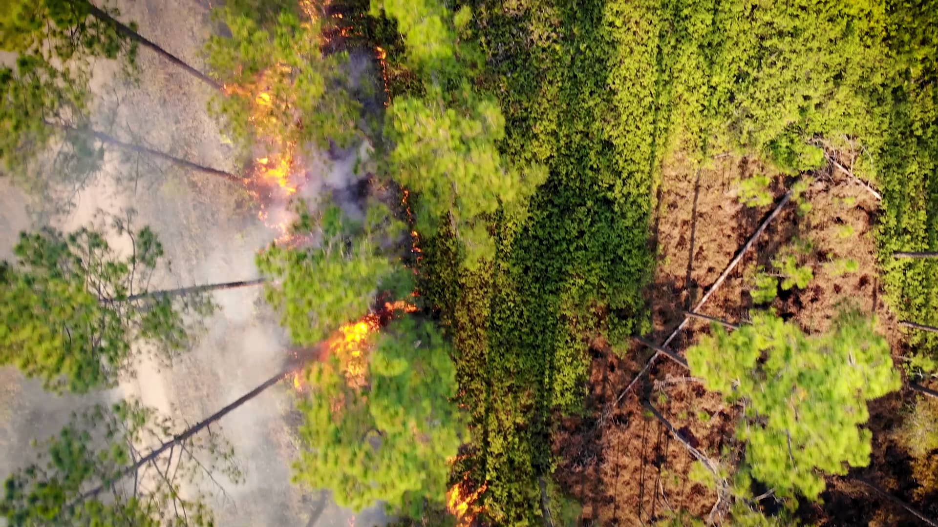 Virtual Tour Green Swamp Prescribed Fire on Vimeo