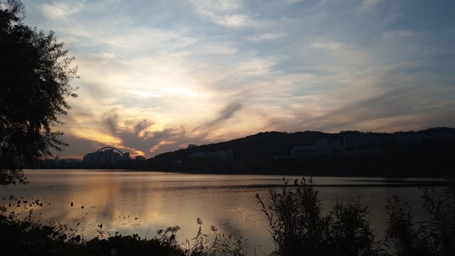 Autumn Fall Forest - Free video on Pixabay - Pixabay