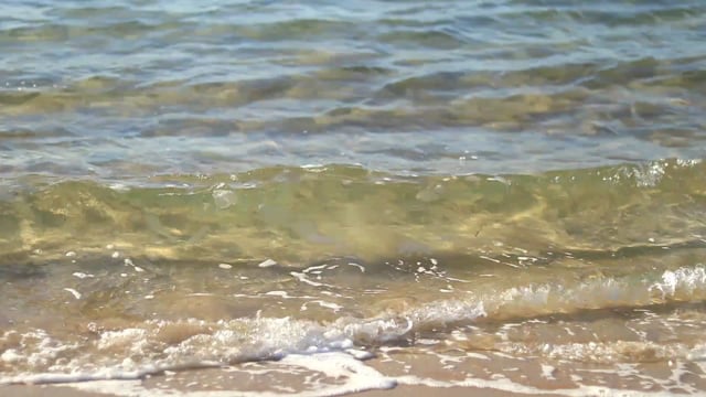 Beach Waves Ripples - Free video on Pixabay