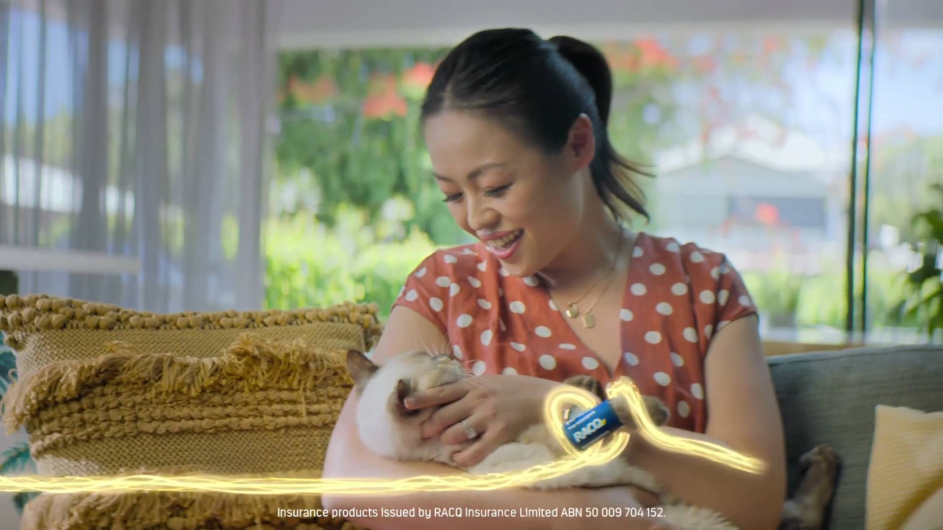 RACQ - Pet Insurance on Vimeo