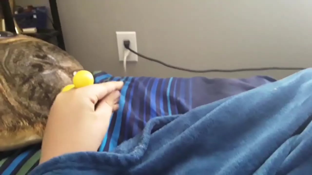 Angry Oobi! - The Present (Christmas Special) on Vimeo