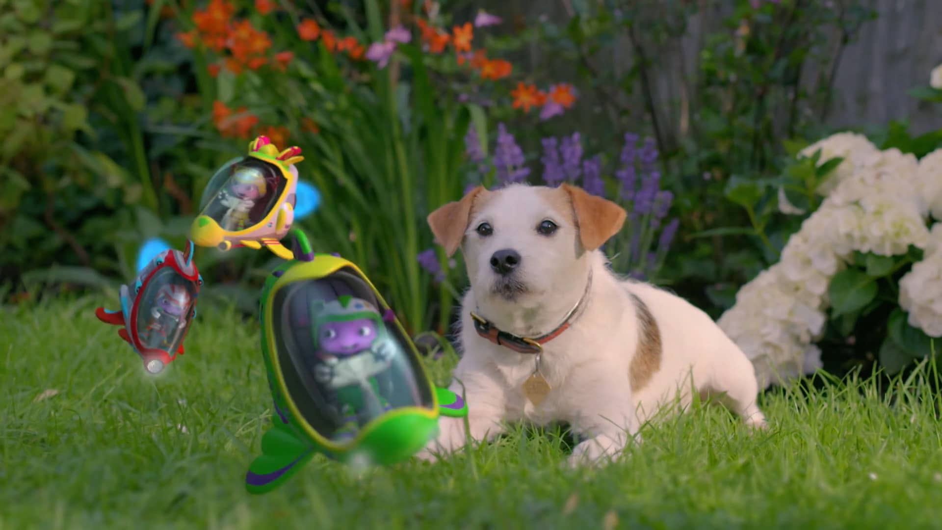 FLOOGALS on Vimeo