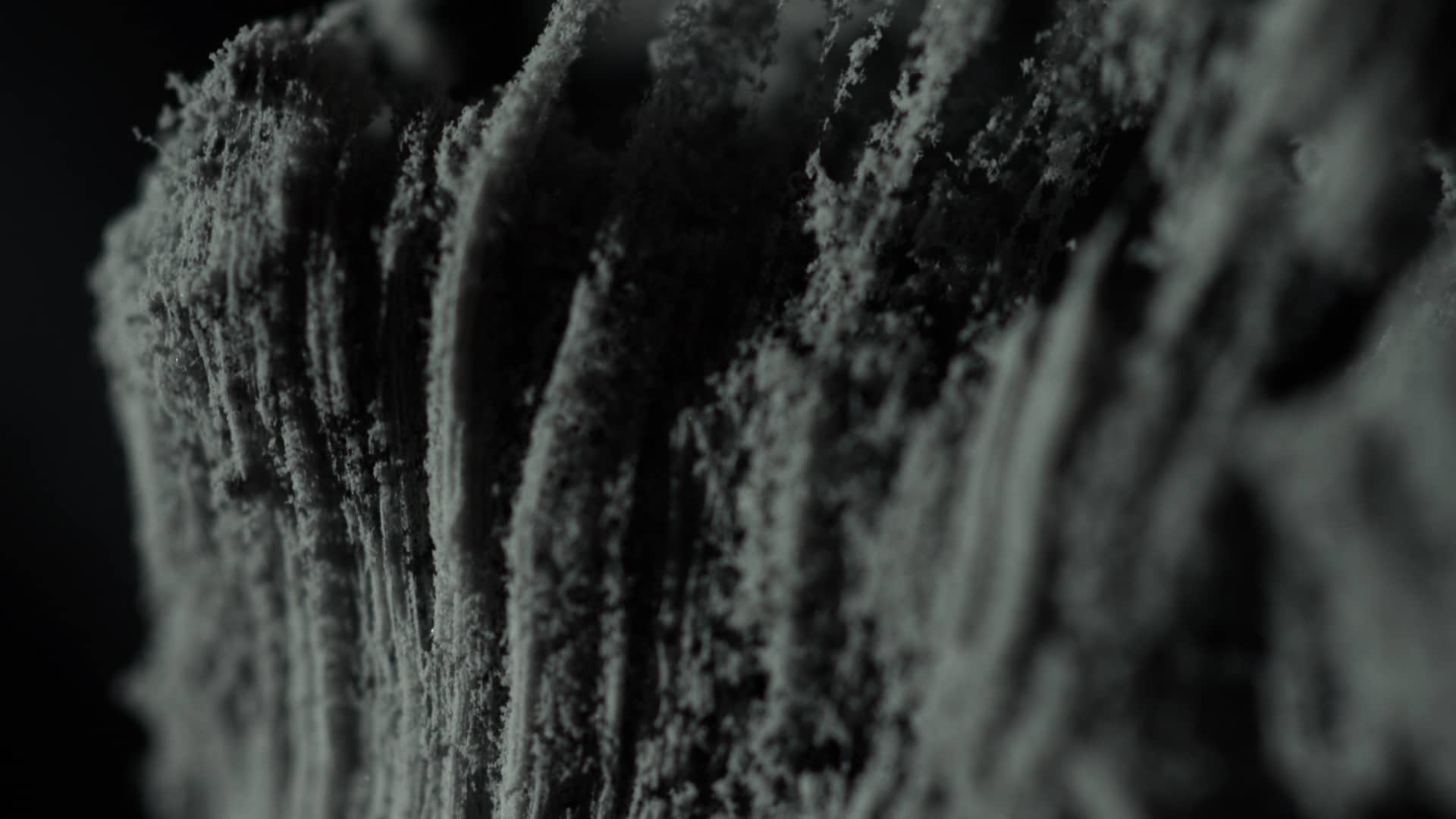 "Creatures“ Title Sequence on Vimeo