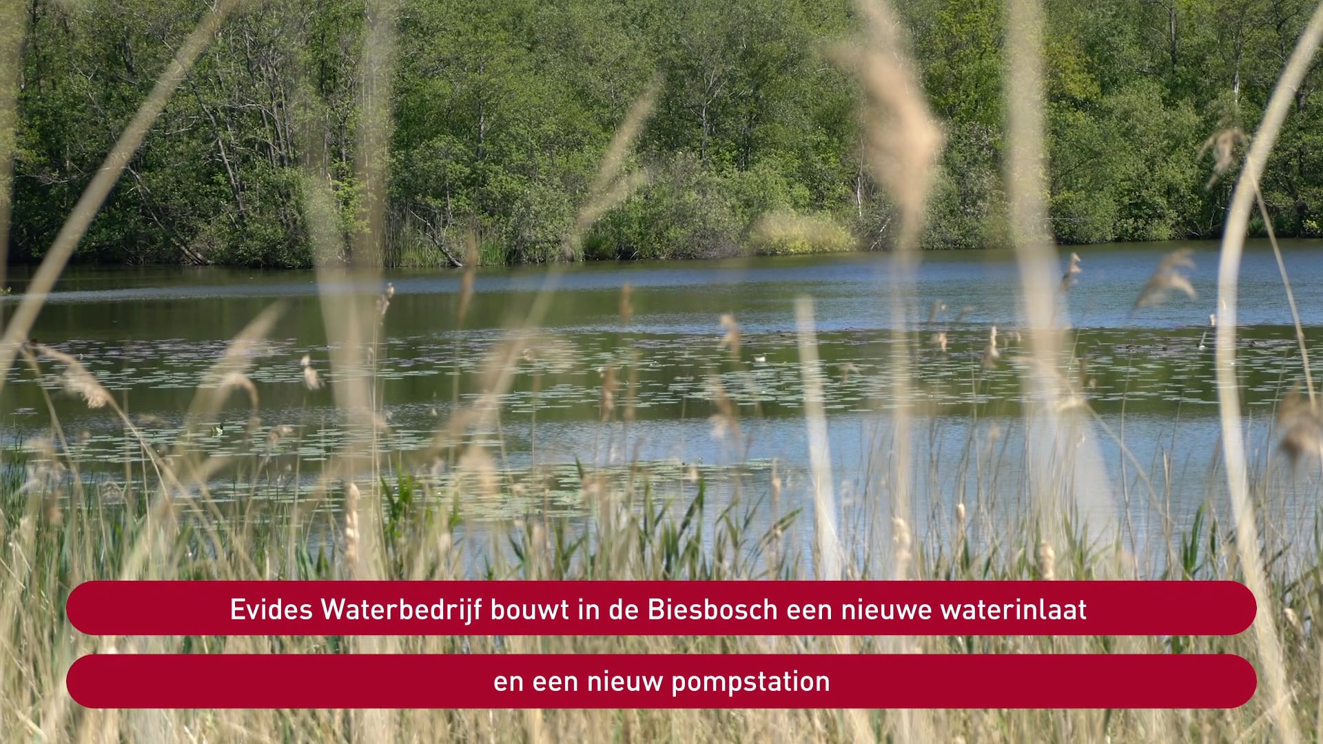 Van Leeuwen_Evides_project on Vimeo