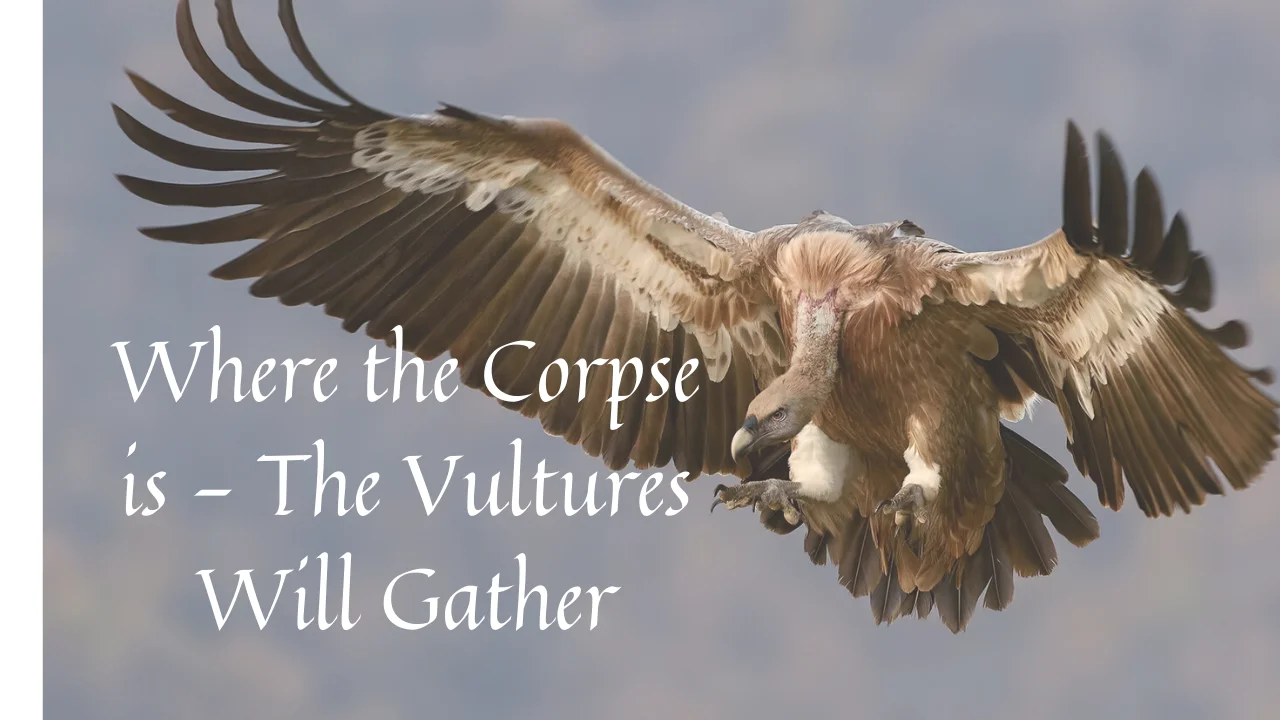 Where The Corpse is - The Vultures Will Gather copy on Vimeo