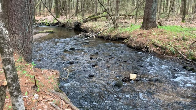 Nature Stream Wilderness Free Stock Video - Pixabay