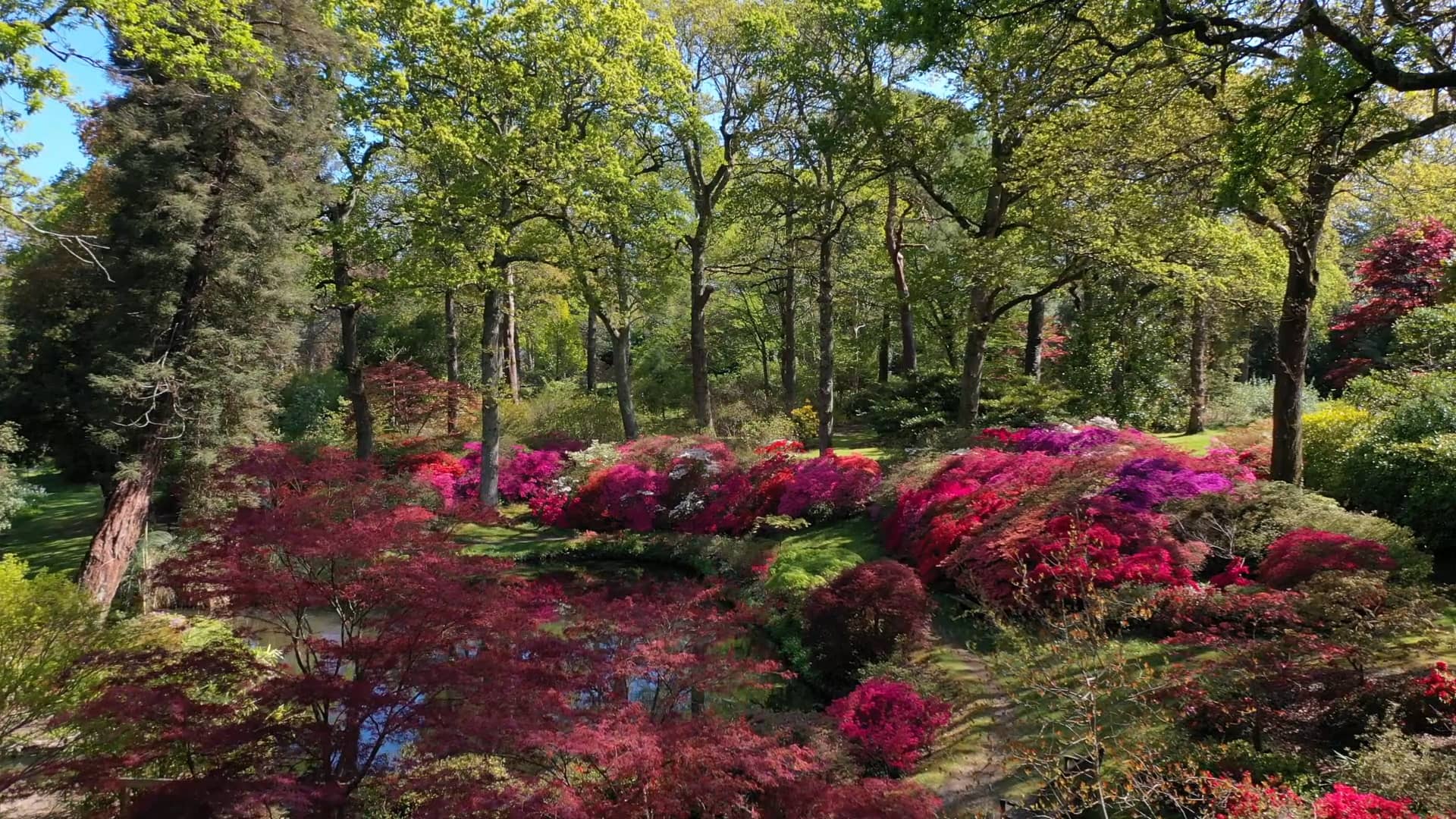 And Introduction to Exbury Gardens - with Marie Louise Agius on Vimeo
