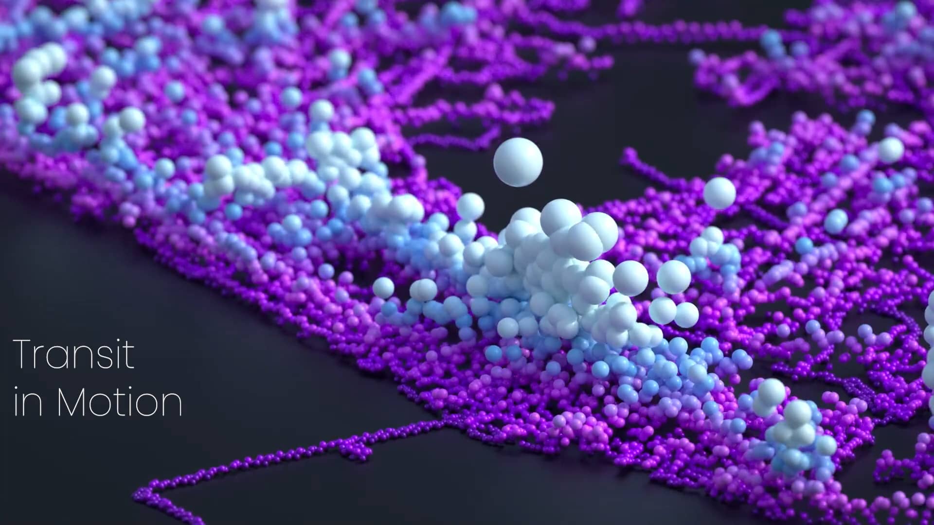 Transit in Motion on Vimeo