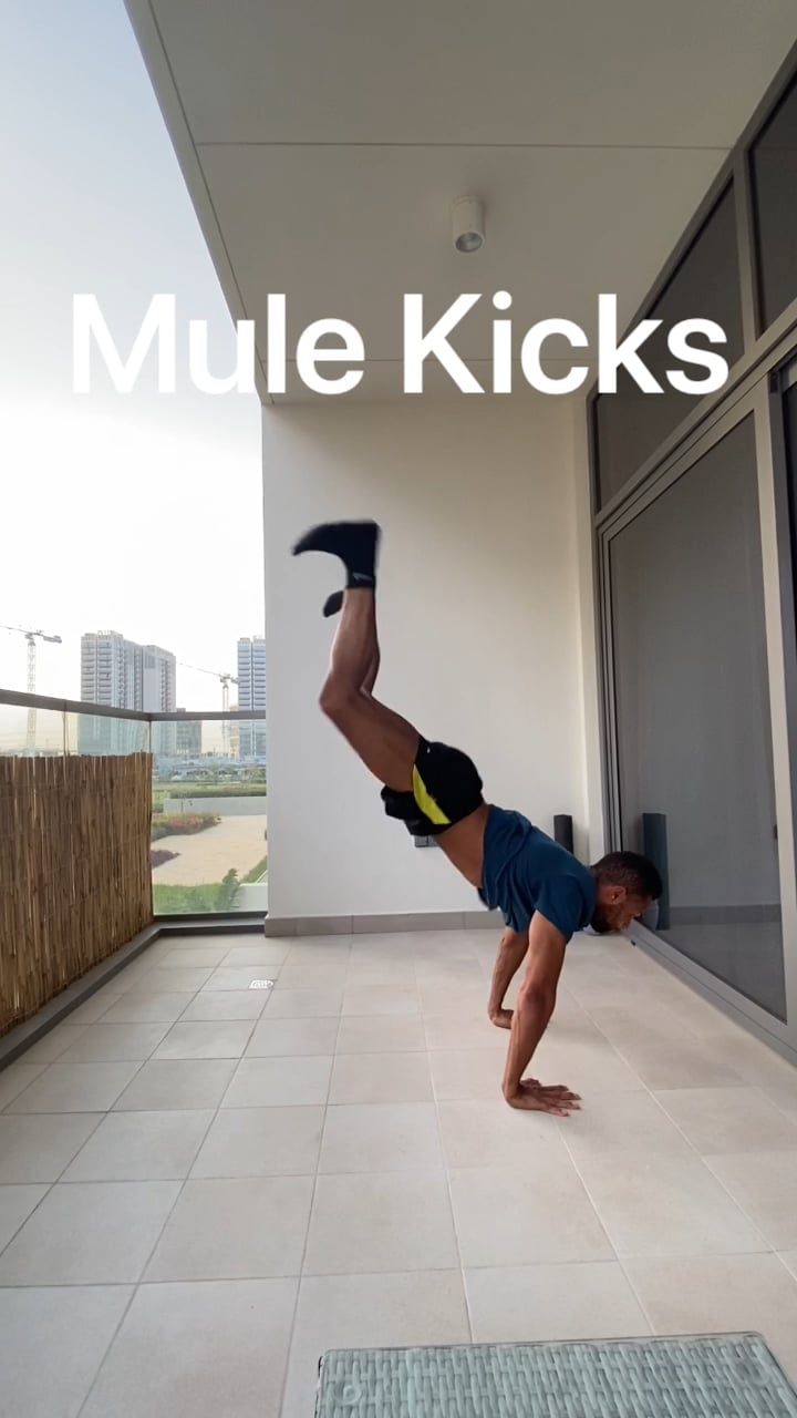 Mule Kicks on Vimeo