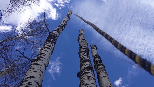 树木 绳索 天空 - Free video on Pixabay - Pixabay