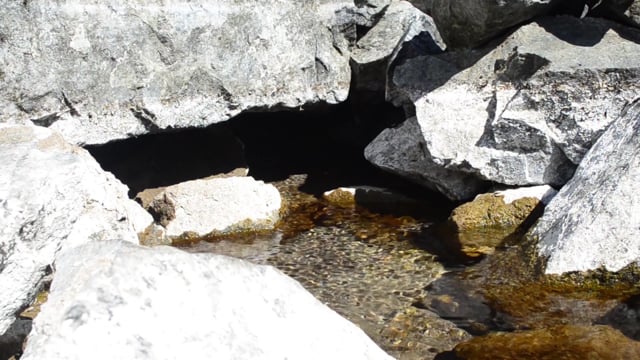 Source, Spring, Water. Free Stock Video - Pixabay