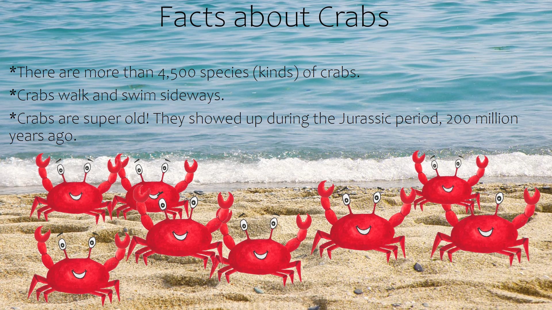 Kg3-Art-Project11-Crab Craft on Vimeo