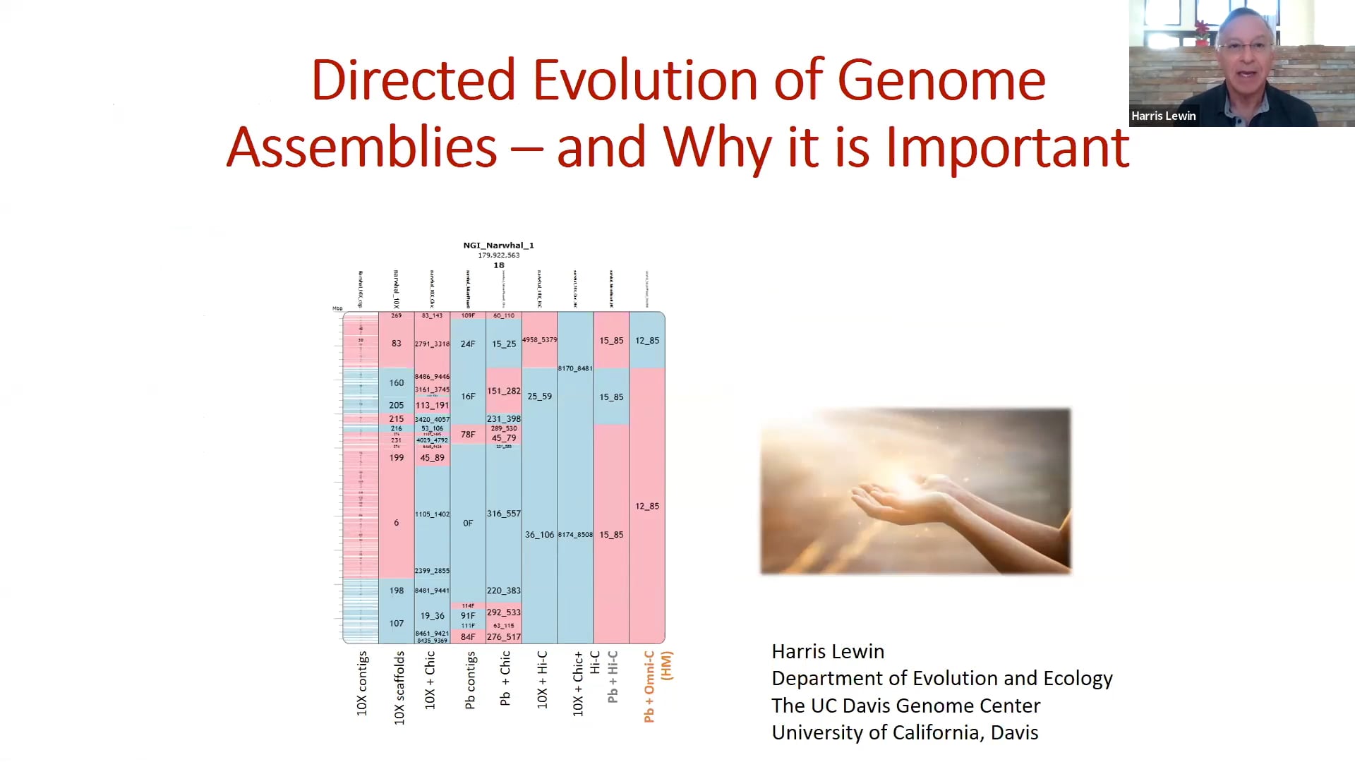 Directed Evolution of Genome Assemblies and Why it is Important - Dr ...