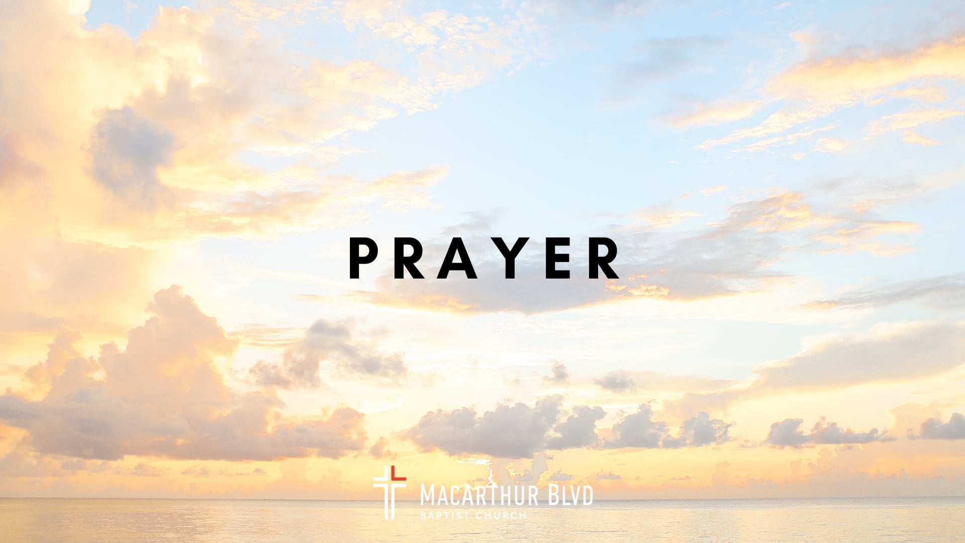 SERVE - Bob on Vimeo