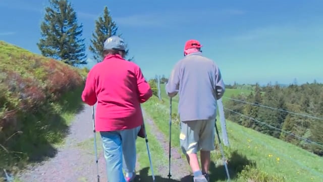 Le JT – 5 juin 2020 | TLVA - 5 juin 2020