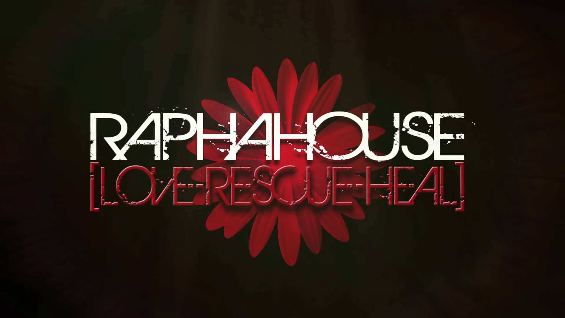Rapha House Overview | 2011 on Vimeo