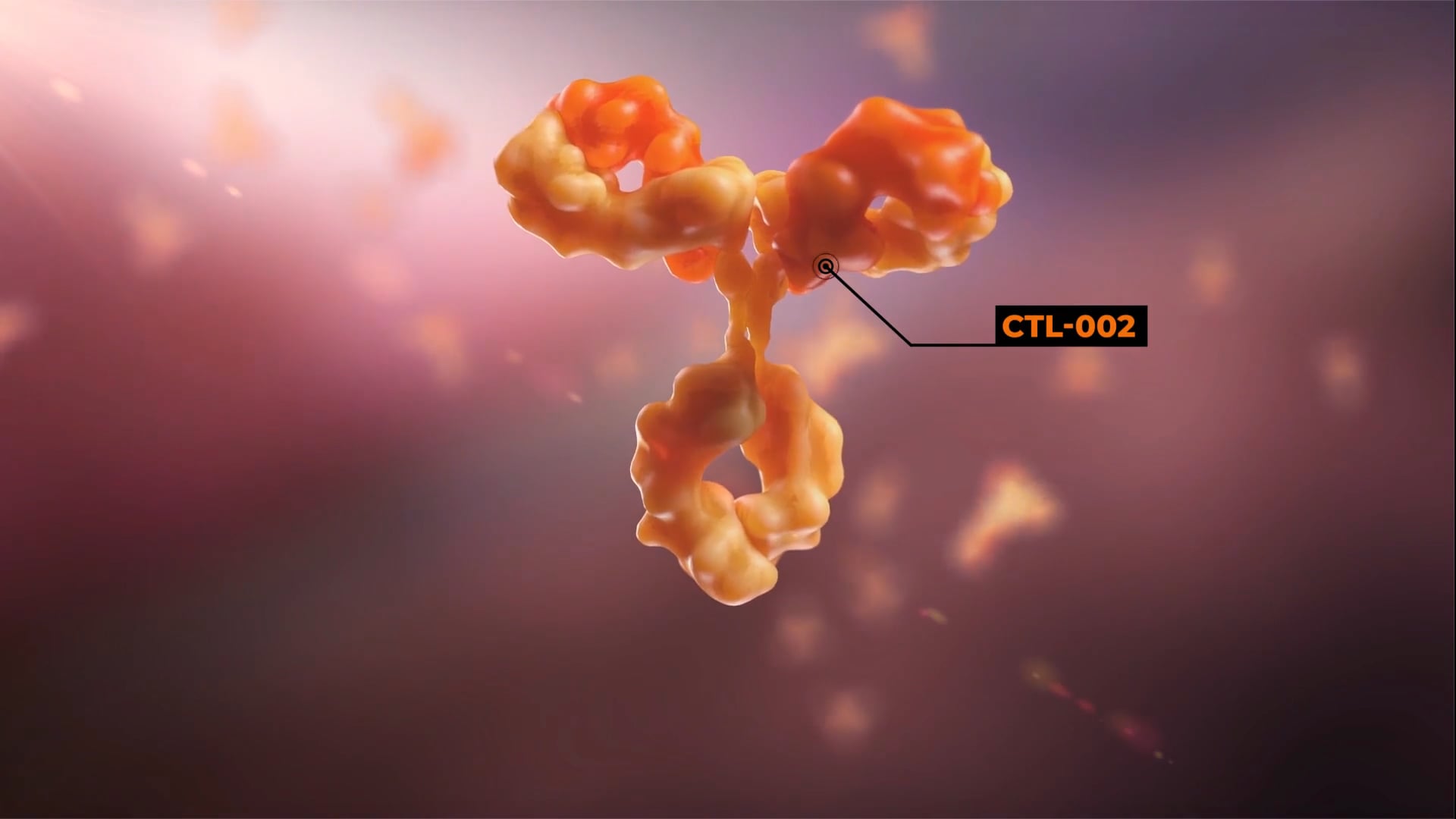 Catalym - Mechanism of Action CTL-002 on Vimeo
