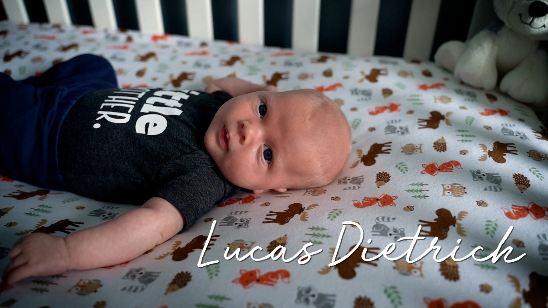 Stork Creations: Newborn | Lucas Dietrich on Vimeo