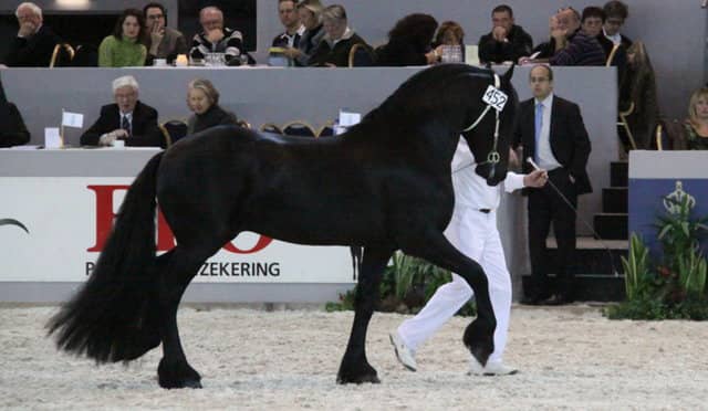 Reinder 452 on Vimeo