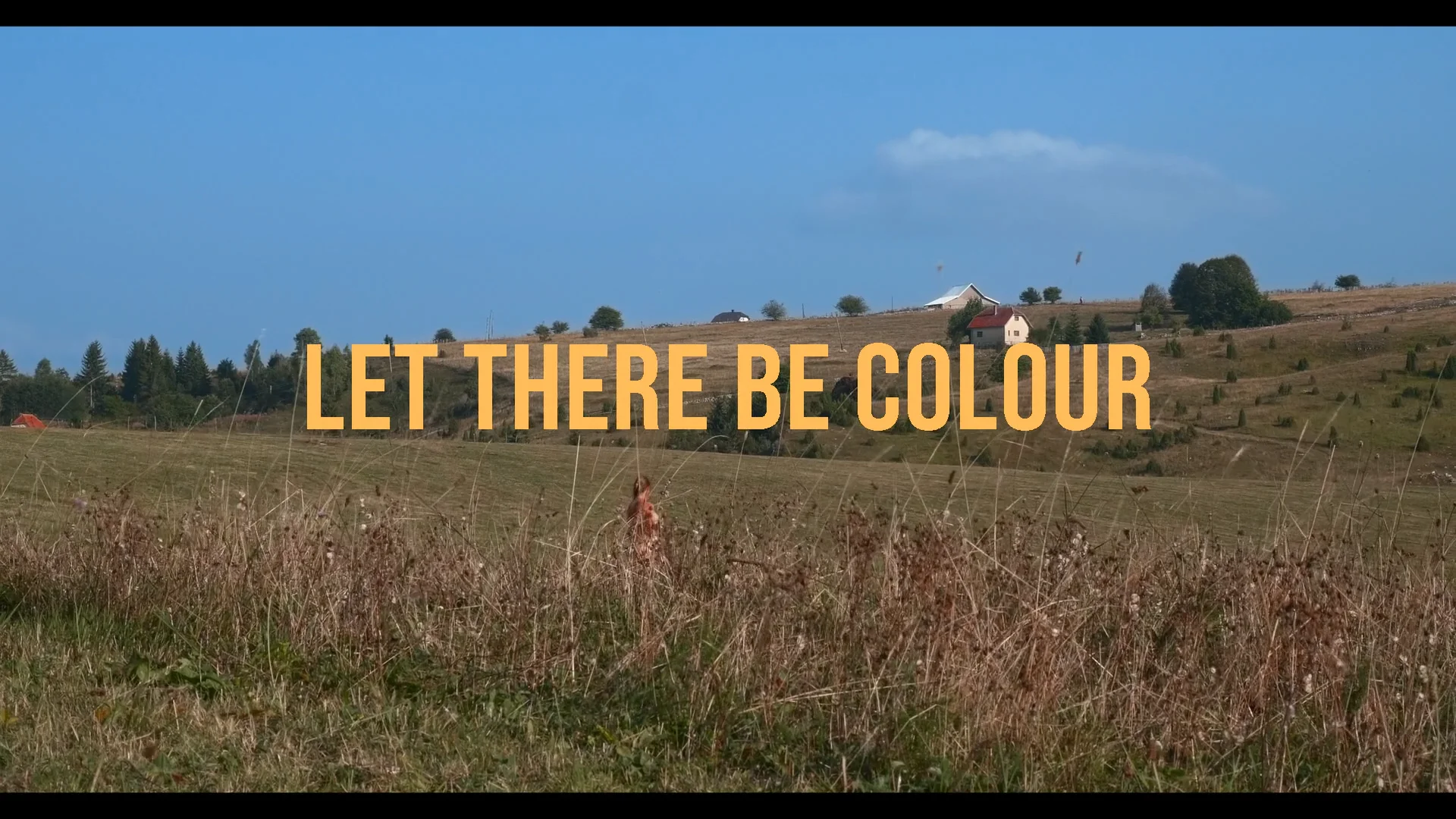 Let There Be Colour (2020) di Ado Hasanovic (sottotitoli Italiano) on Vimeo