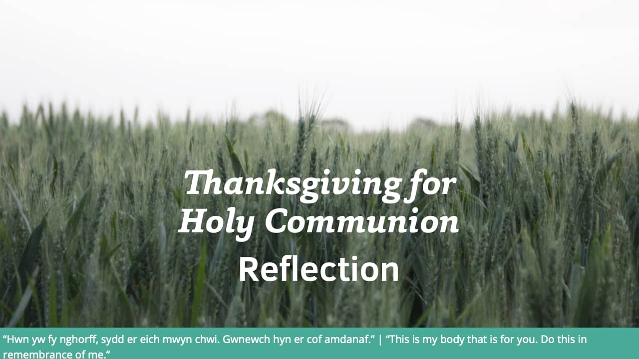 Reflection on the Thanksgiving for Holy Communion (14/6/2020) on Vimeo