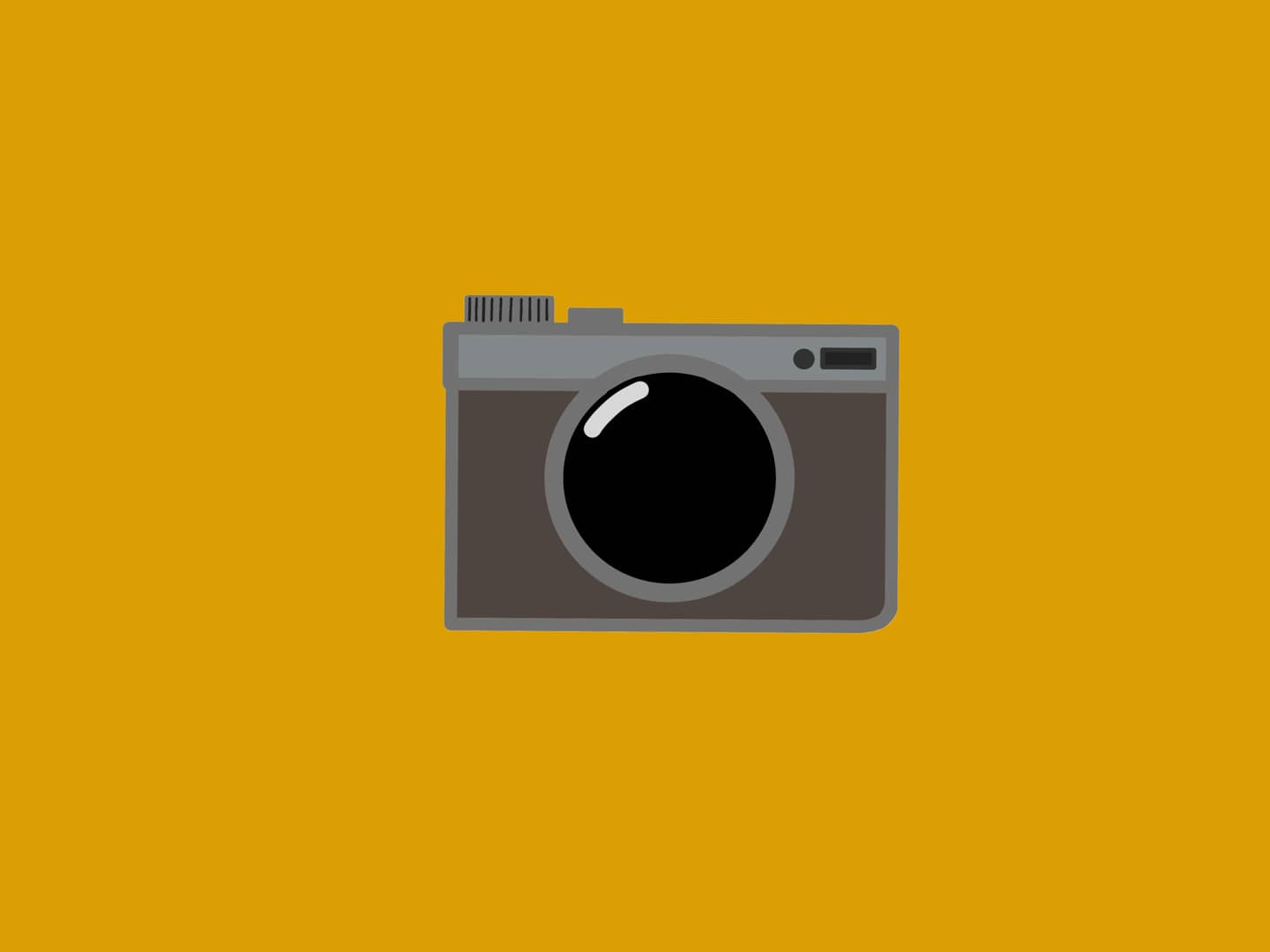 camera video on Vimeo