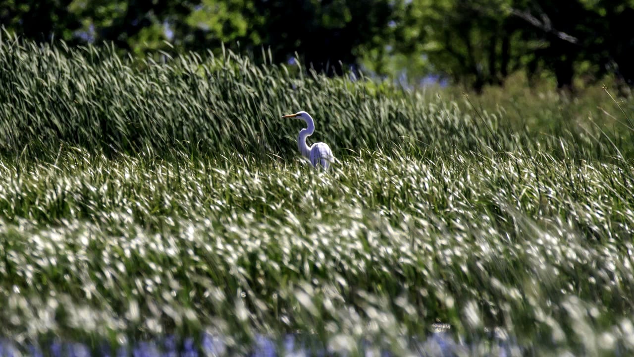 Wildlife Photography Canoe Tour on Vimeo