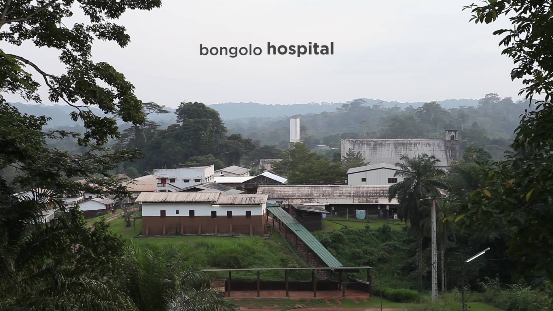 About Bongolo on Vimeo