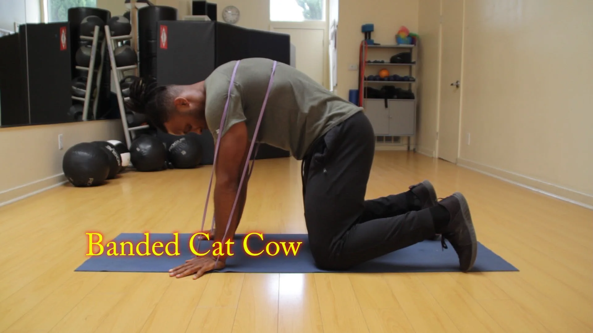 Banded Cat Cow on Vimeo