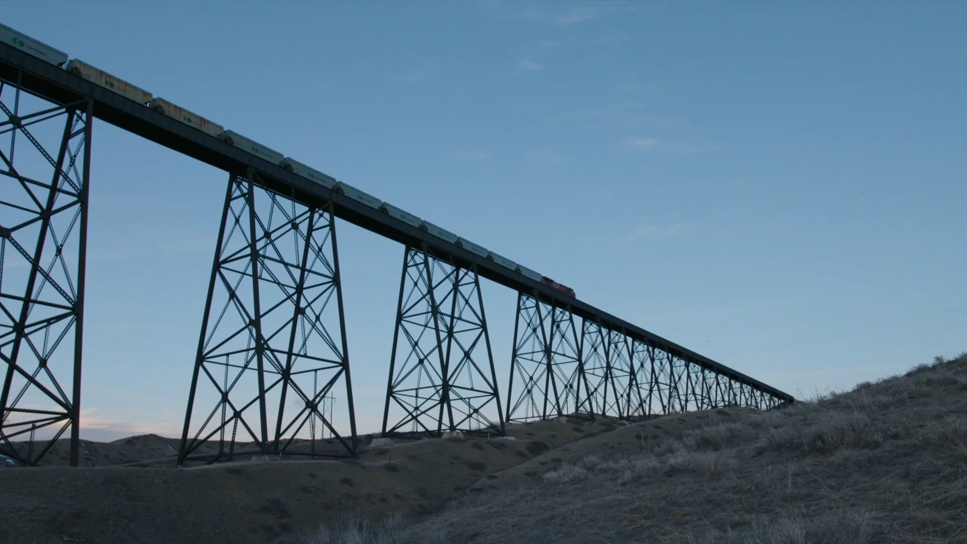 Toronto Defiant: Agilities's Story on Vimeo