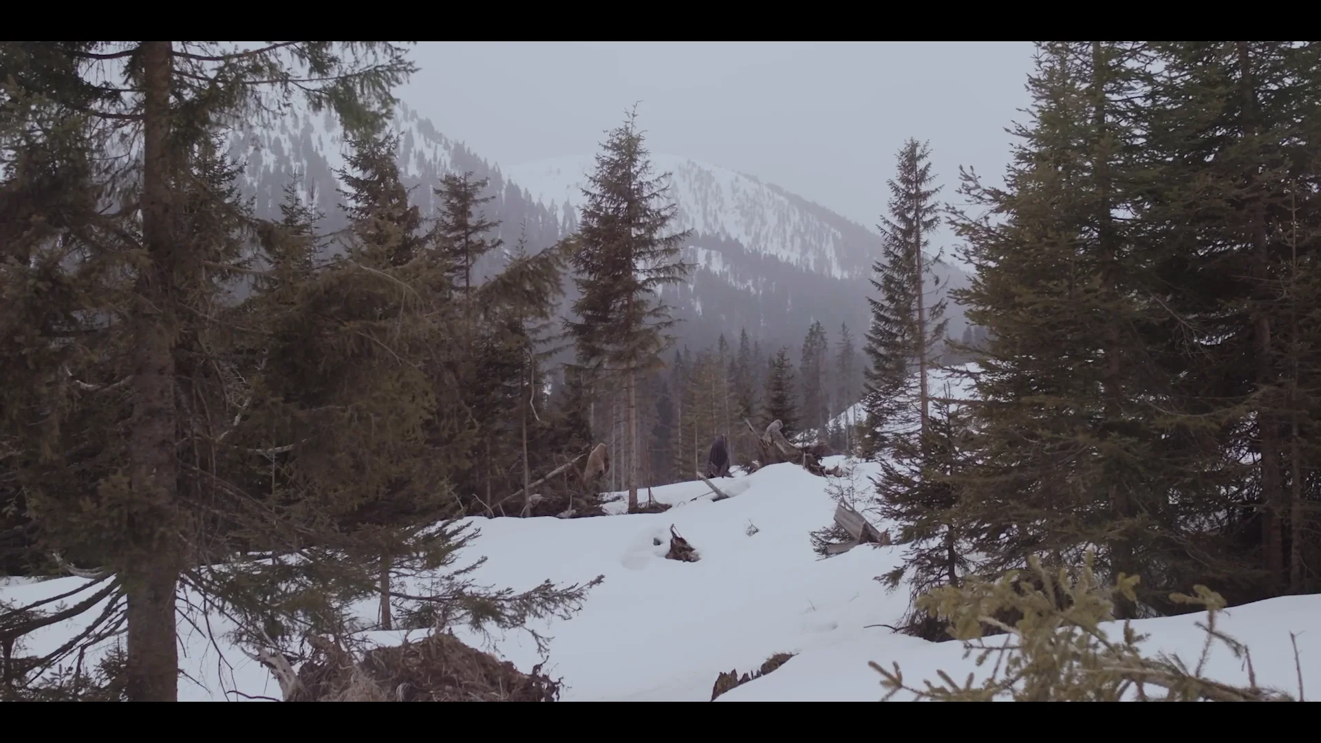 WEEKEND - Trailer on Vimeo