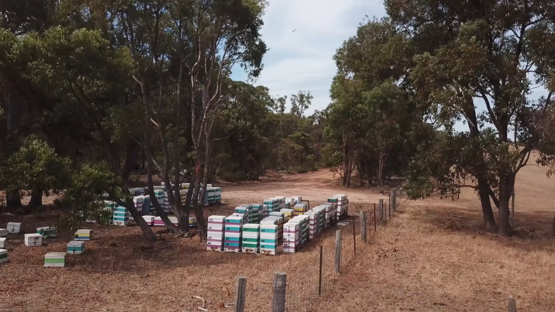 Apiary site 1 fly through only on Vimeo
