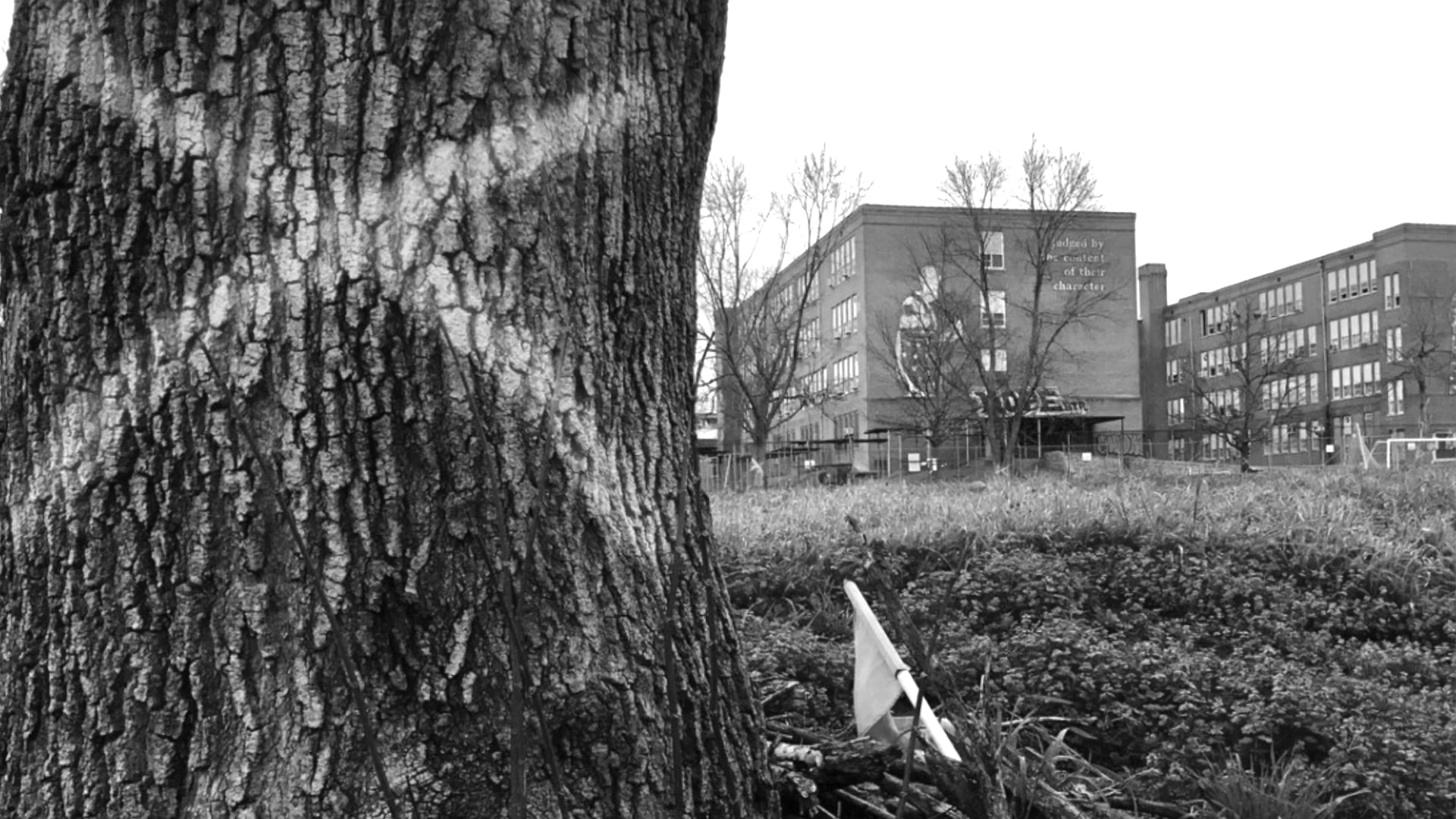 The Elder Project 1080p on Vimeo