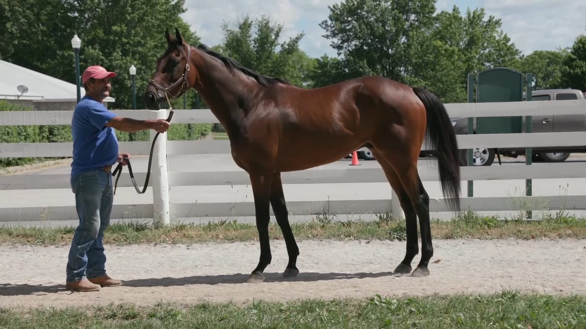 2020 June Sale_Uncle Gregory V3 on Vimeo