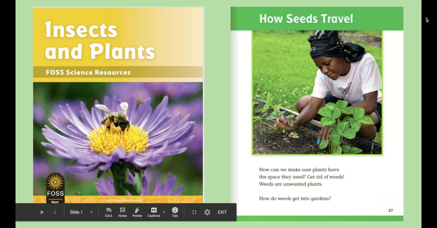 FOSS_ How Seeds Travel - Google Slides on Vimeo
