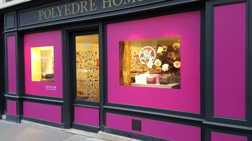 01-ADM-POPUP-POLYERDRE on Vimeo