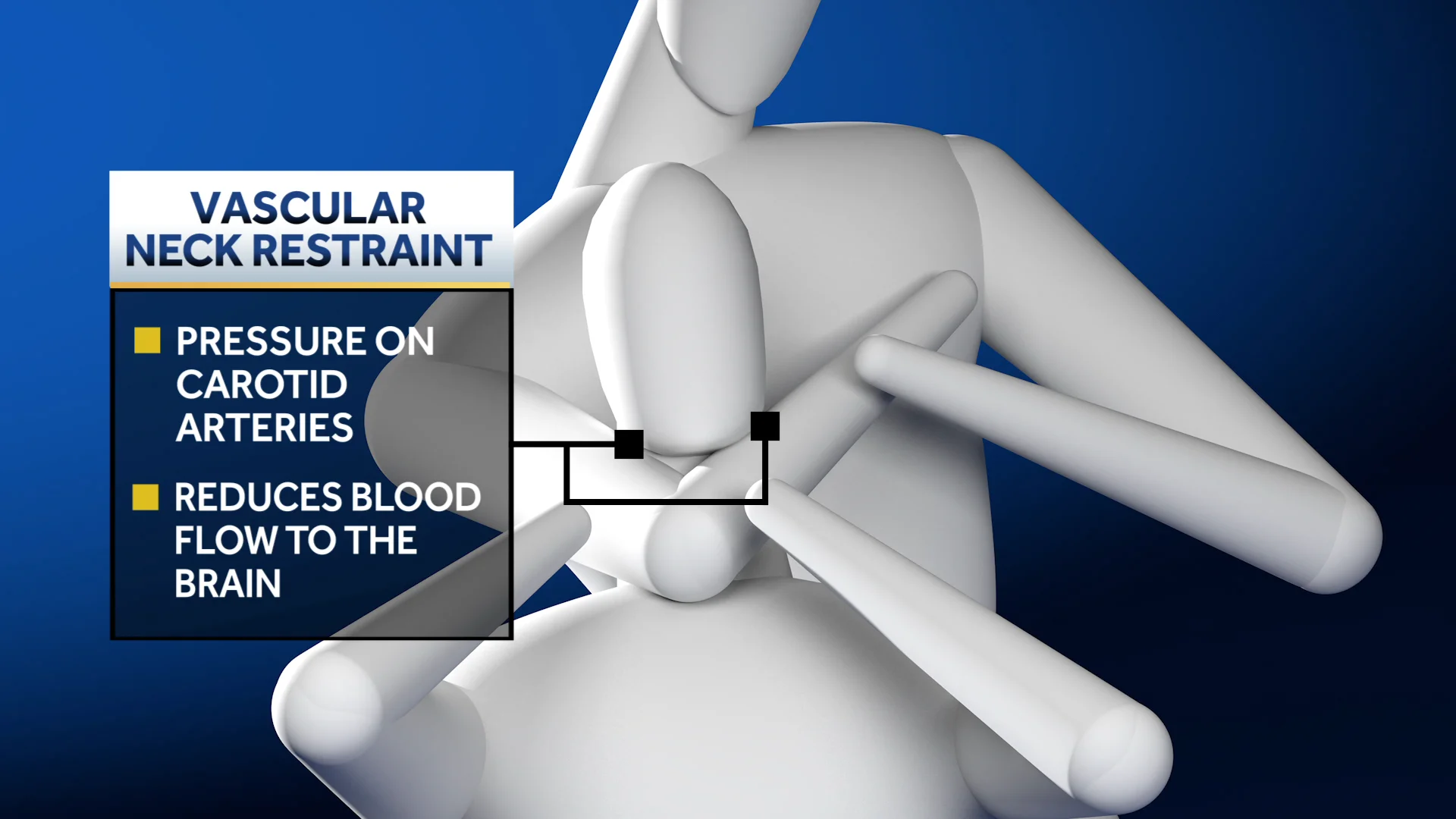Vascular Neck Restraint