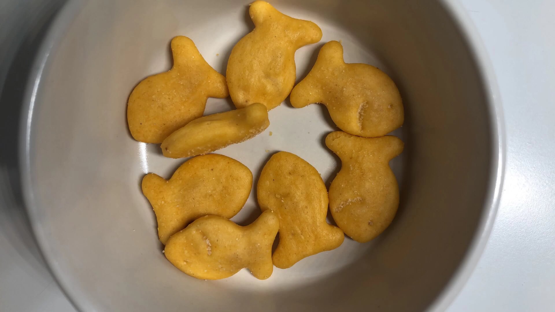 Goldfish is ... alive? on Vimeo