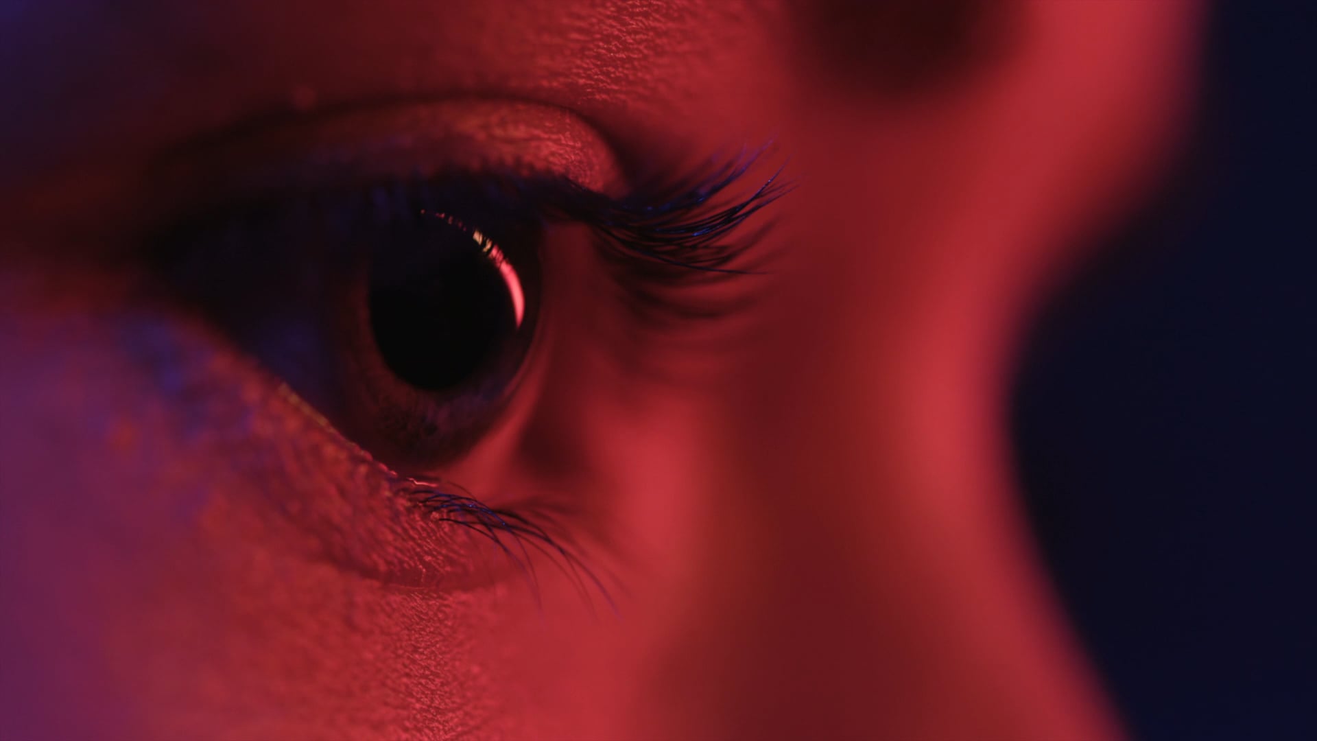 Eye on Vimeo