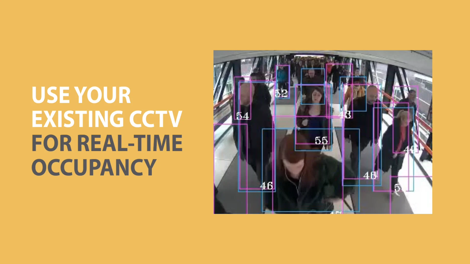 Occupancy Animation.mp4