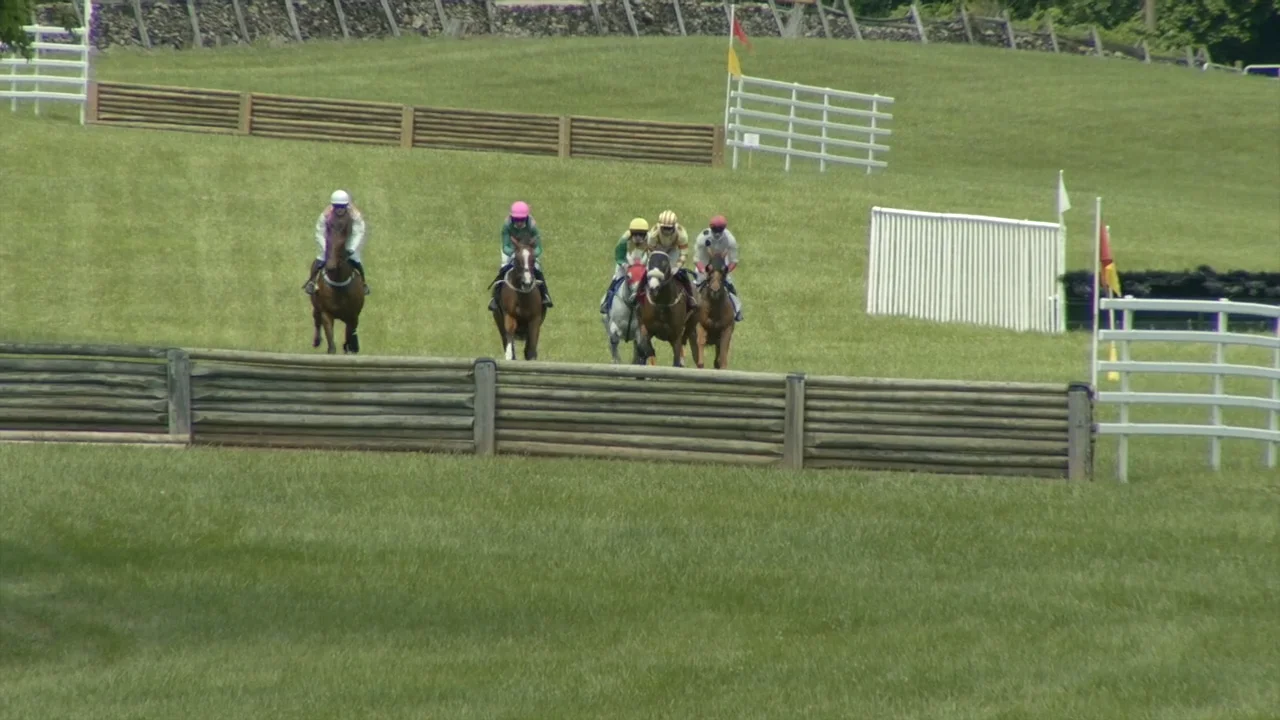 2020 Middleburg Spring Races - Middleburg Spring R4 The Middleburg Hunt ...